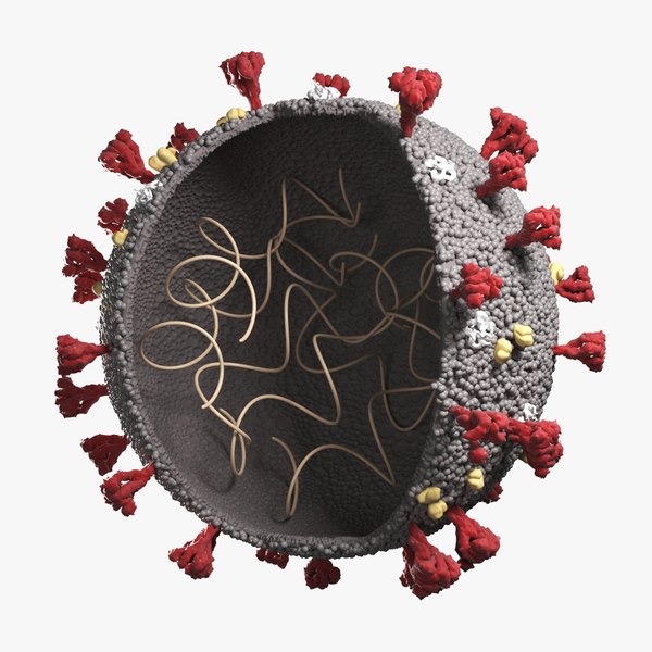 Free 3D Virus Models | TurboSquid
