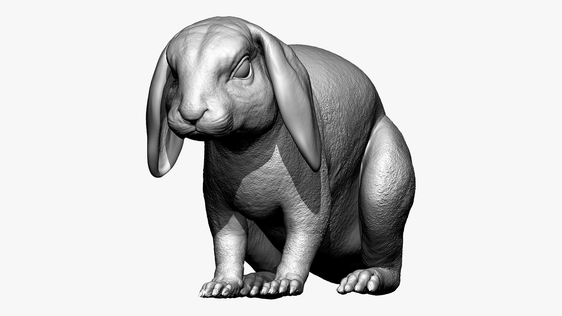 3D Bunny - TurboSquid 1954334