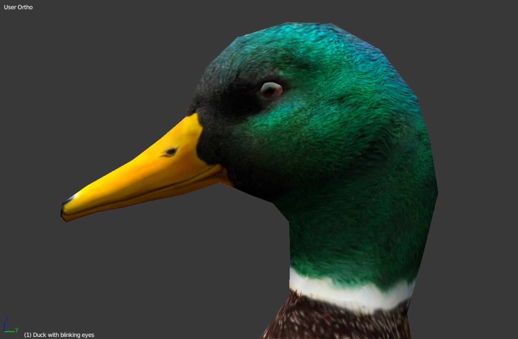 3D Model Low Poly Animated Mallard Ducks - TurboSquid 2187936