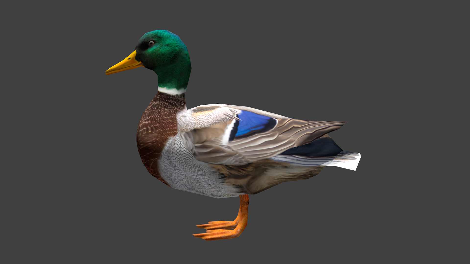 3D Model Low Poly Animated Mallard Ducks - TurboSquid 2187936