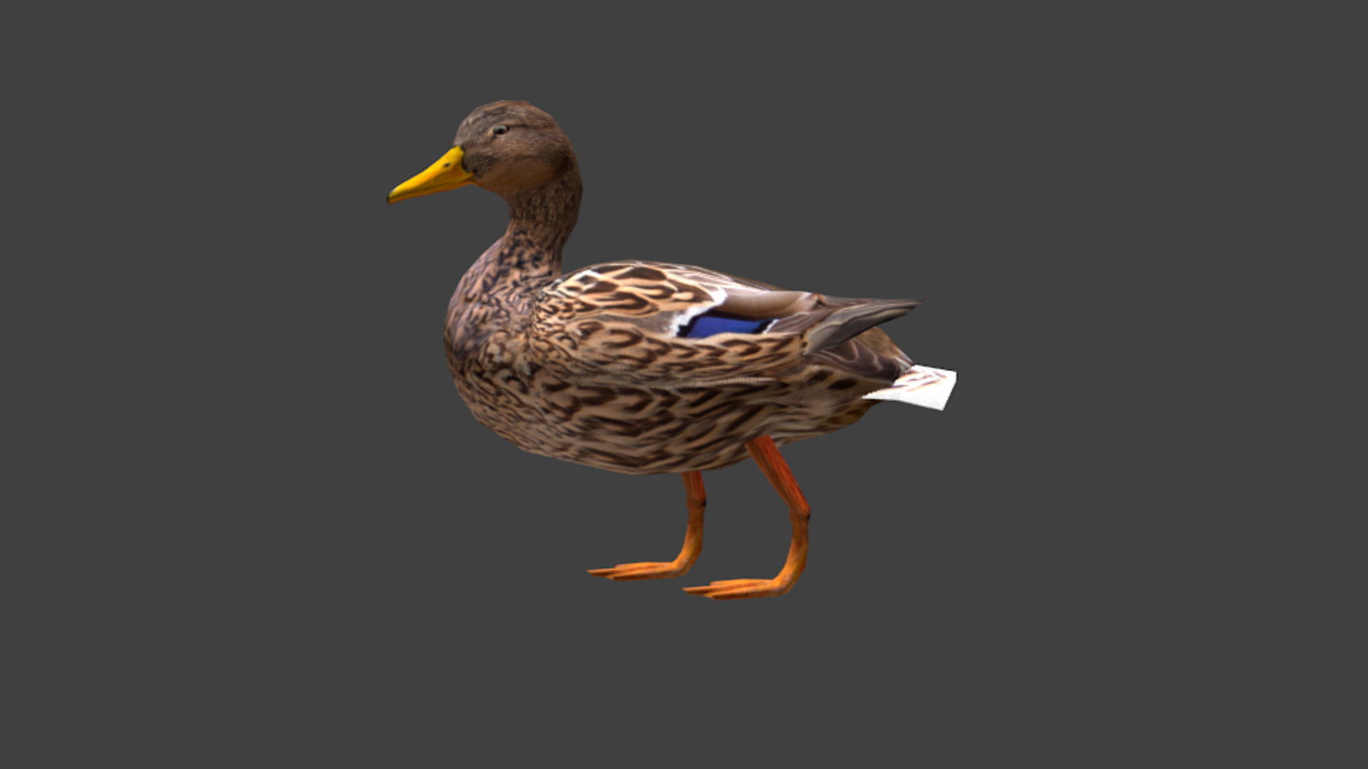 3D Model Low Poly Animated Mallard Ducks - TurboSquid 2187936