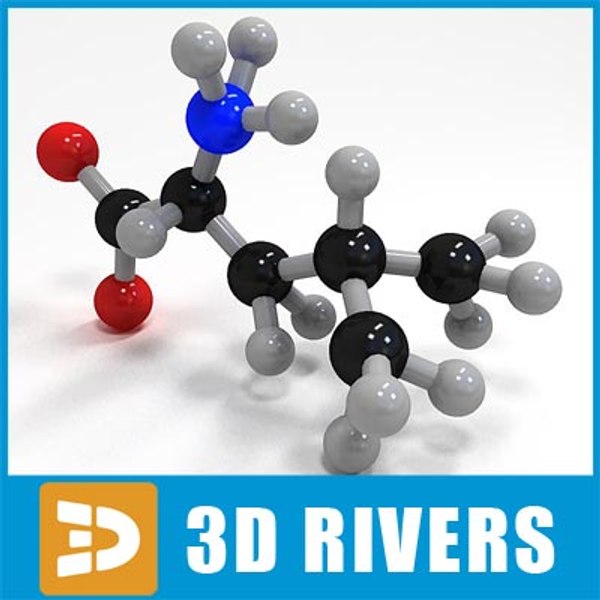 modelo 3d Leucina por 3DRivers - TurboSquid 456534