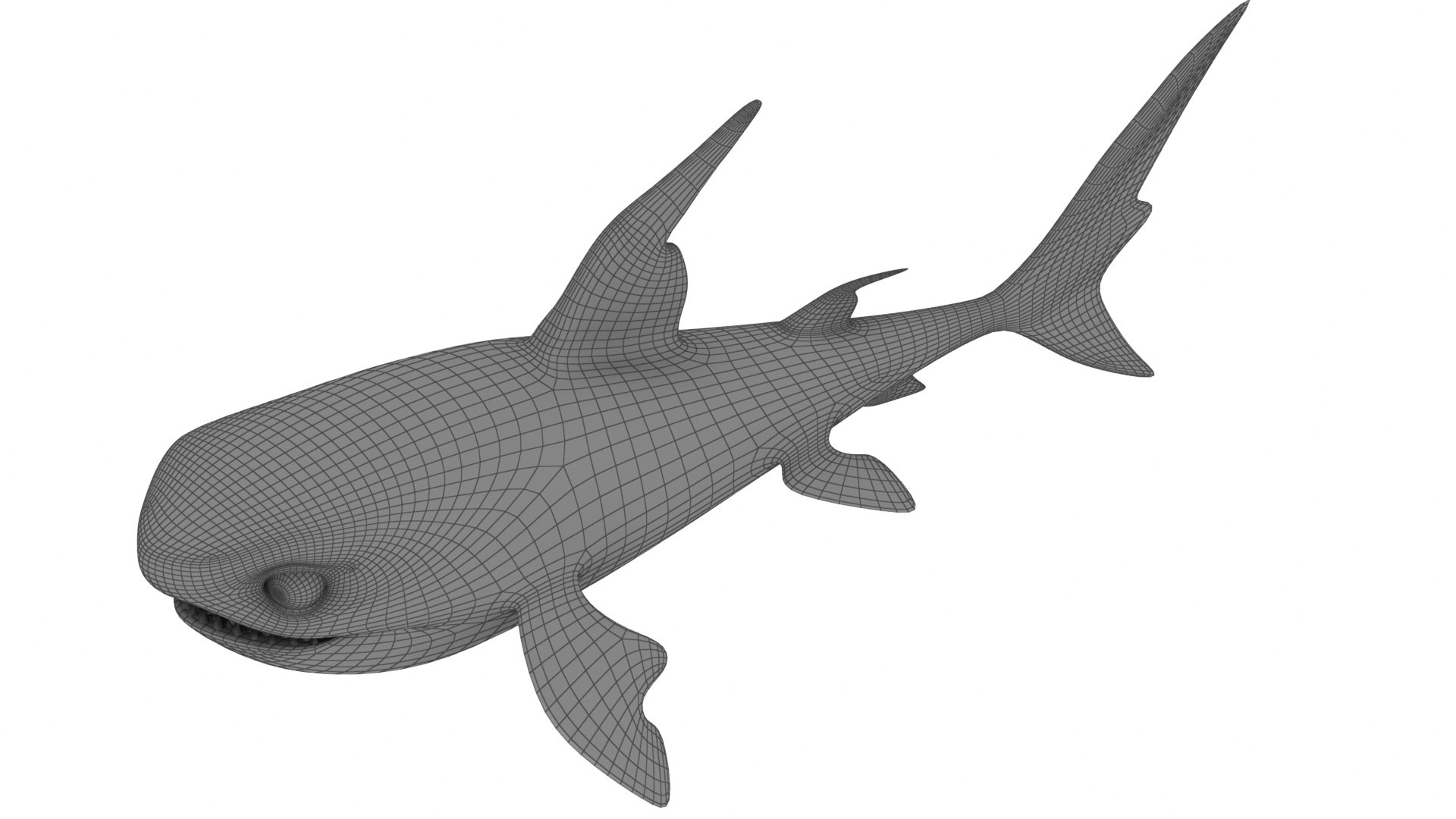 Cartoon Shark Model - TurboSquid 2077155