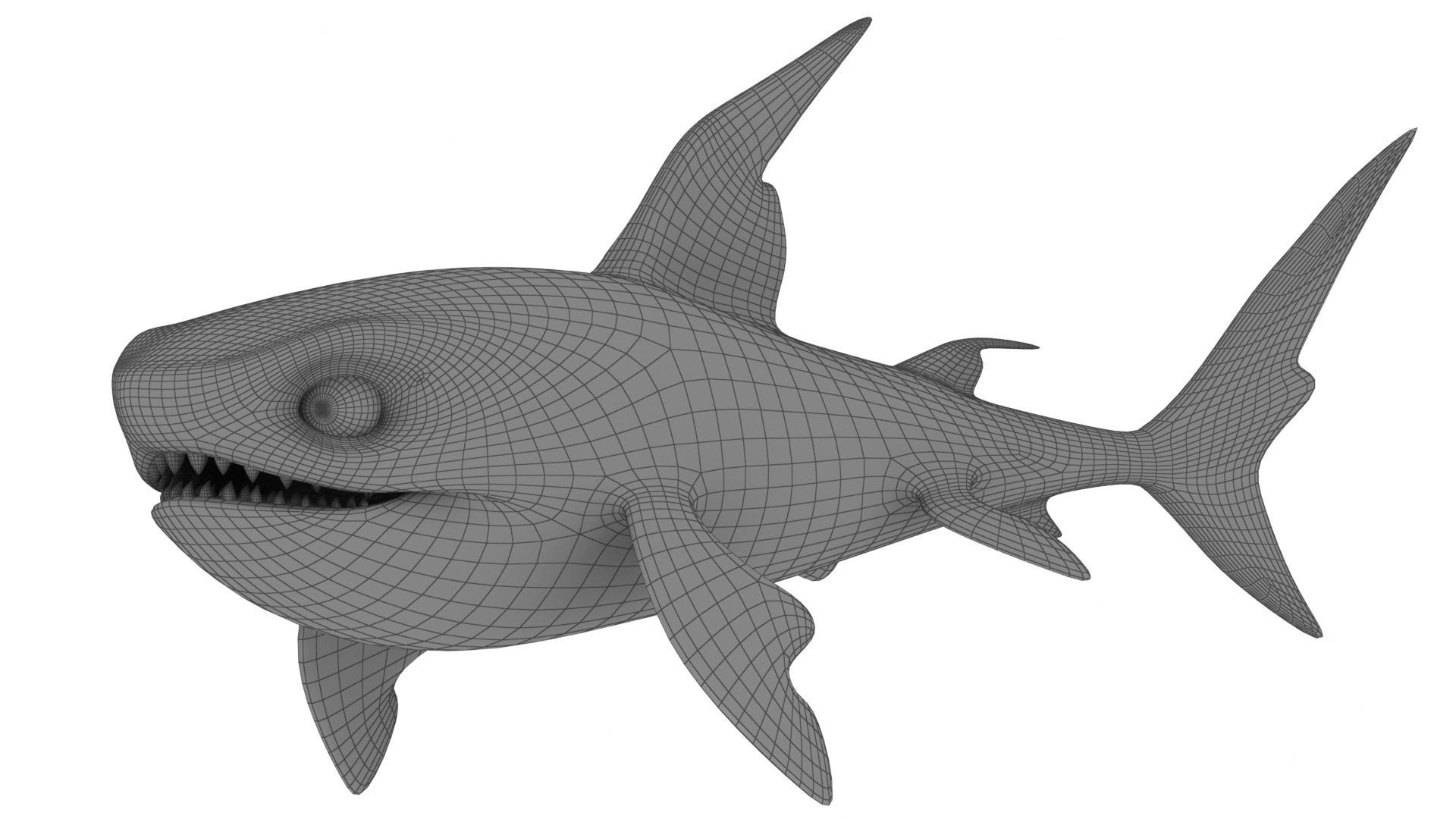 Cartoon Shark Model - TurboSquid 2077155