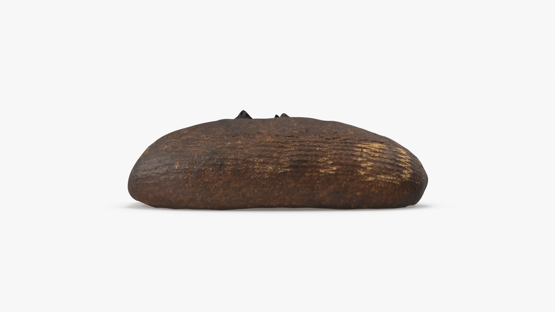 Bastard Bread 3D - TurboSquid 1719998
