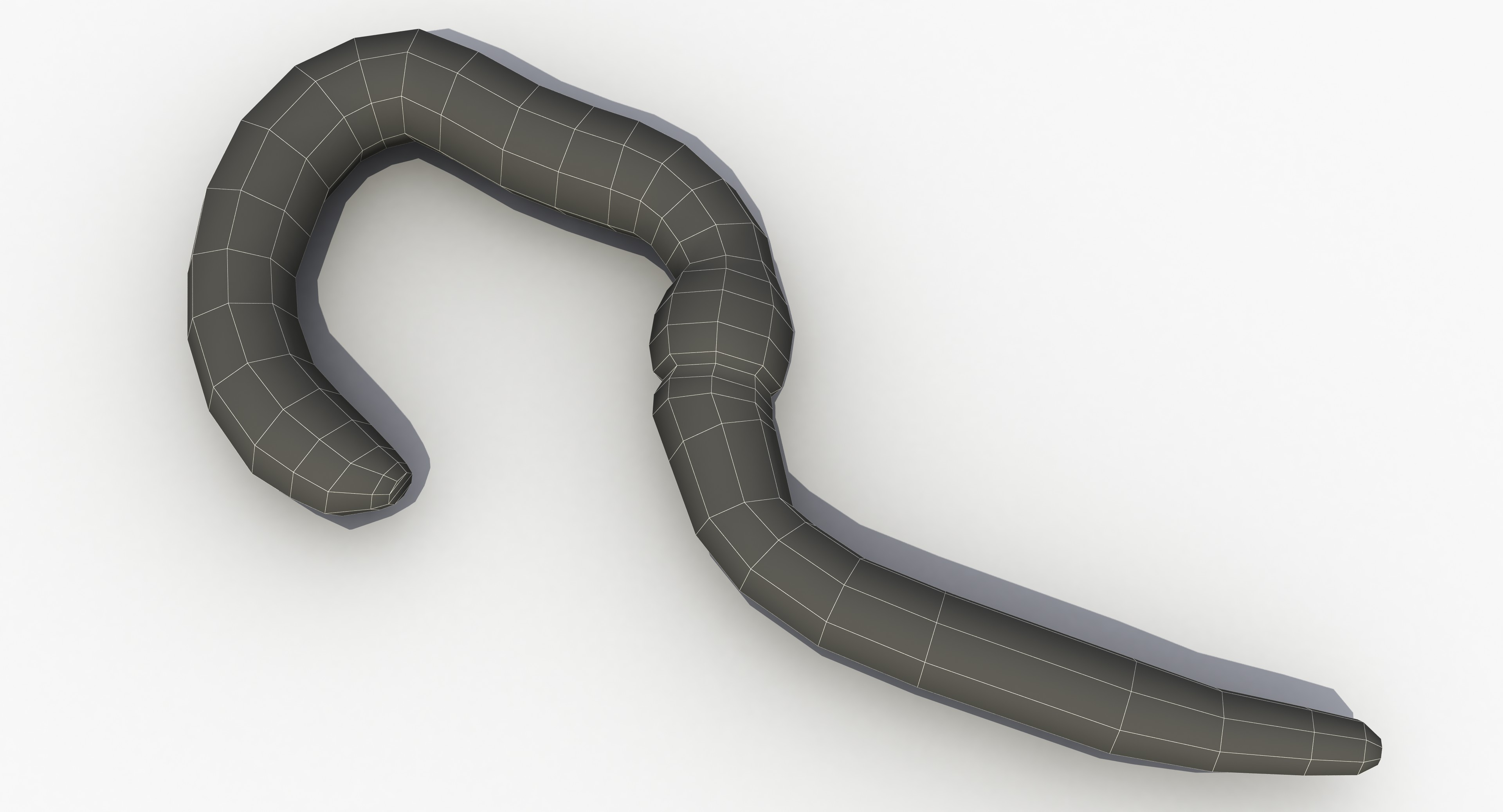 earth worm 3d model