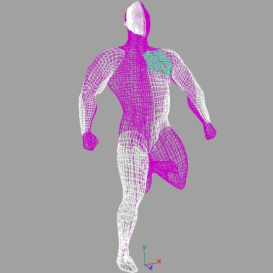 Body Human 3d Model