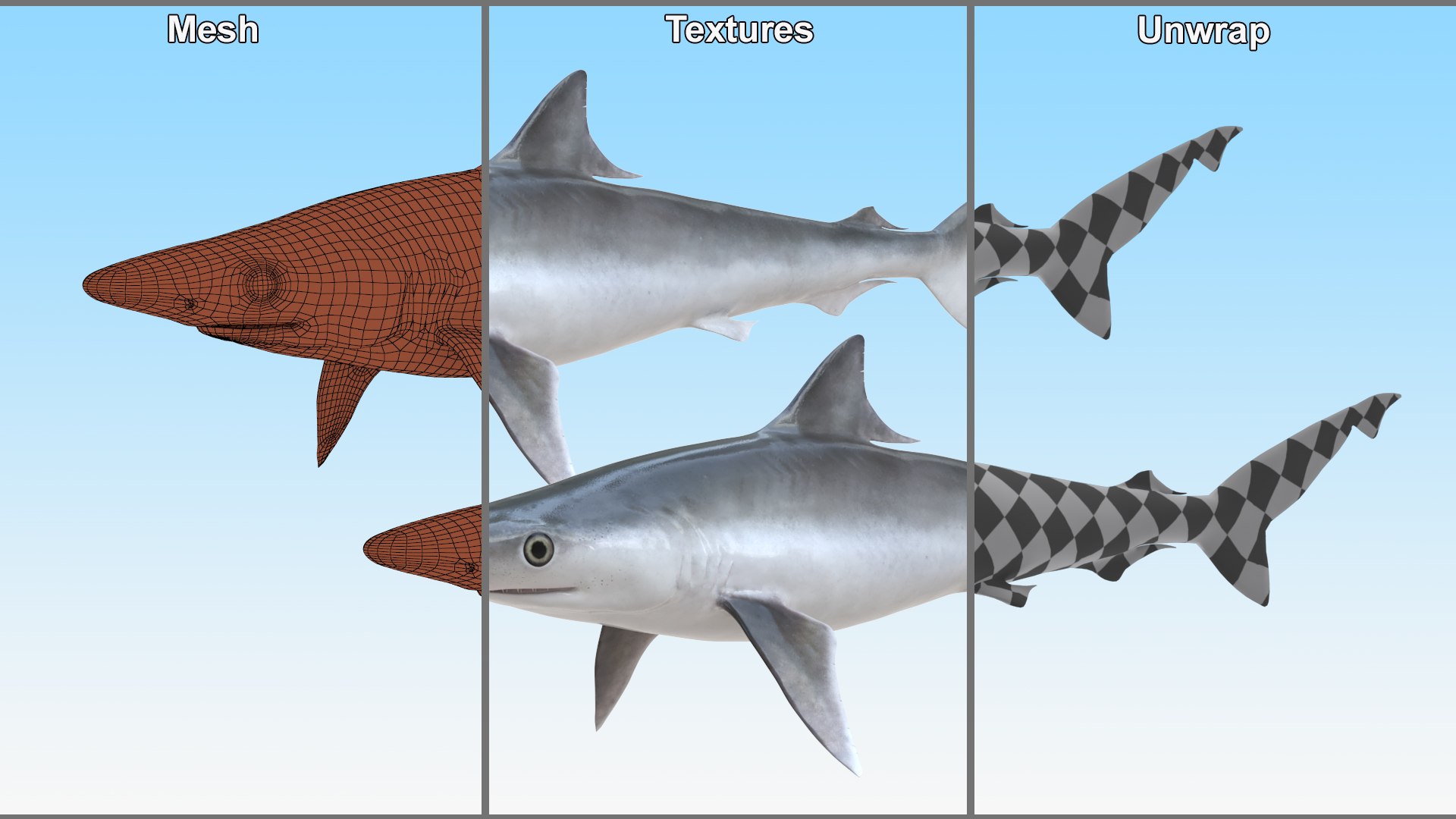 Oceanic Milk Shark Rigged 3D - TurboSquid 2346153