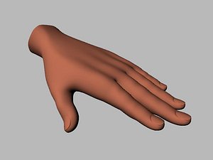 Hand 3D Models for Download | TurboSquid