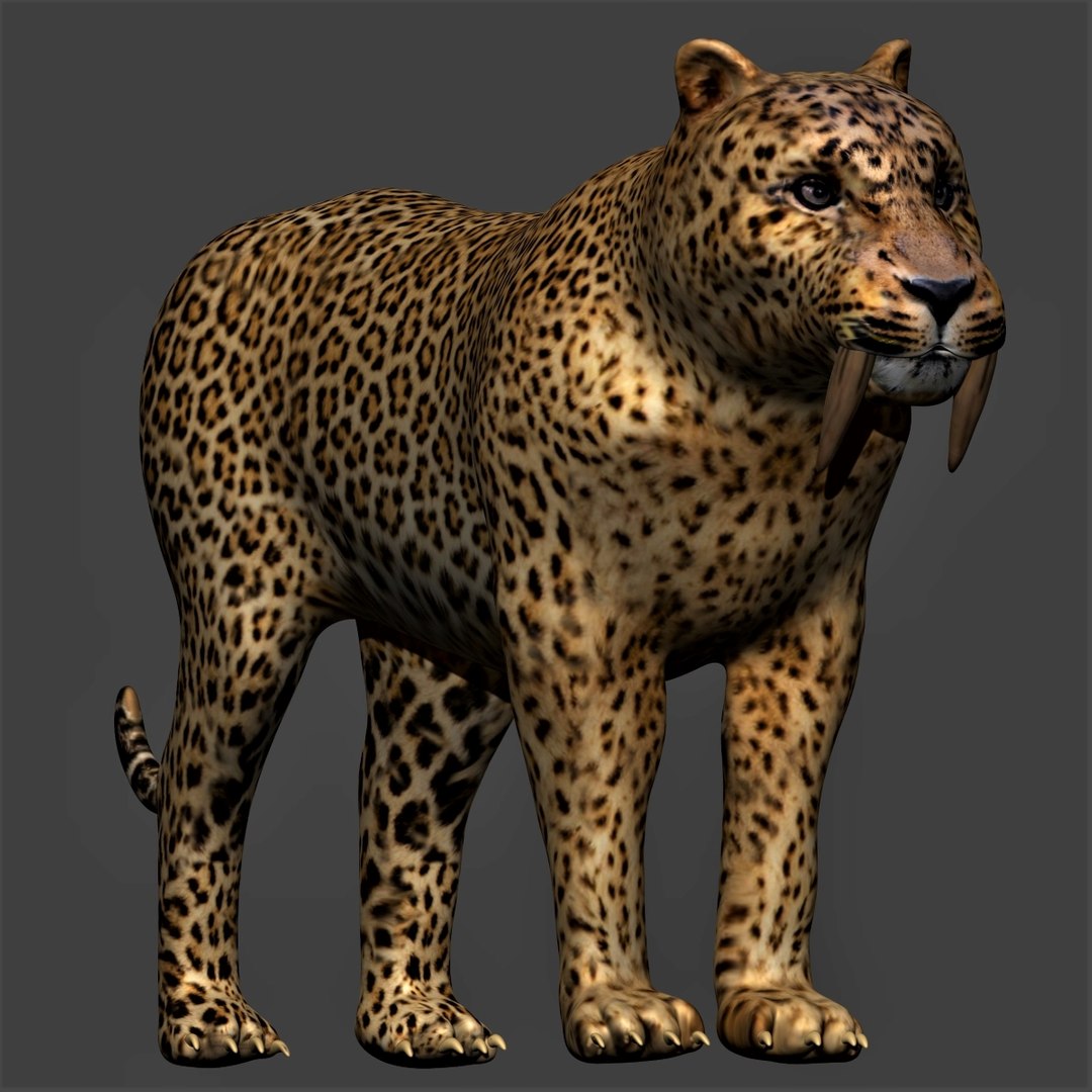 Fully Rigged Smilodon 3D Model - TurboSquid 1692456