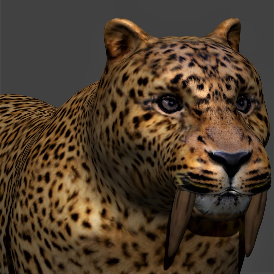Fully Rigged Smilodon 3D Model - TurboSquid 1692456