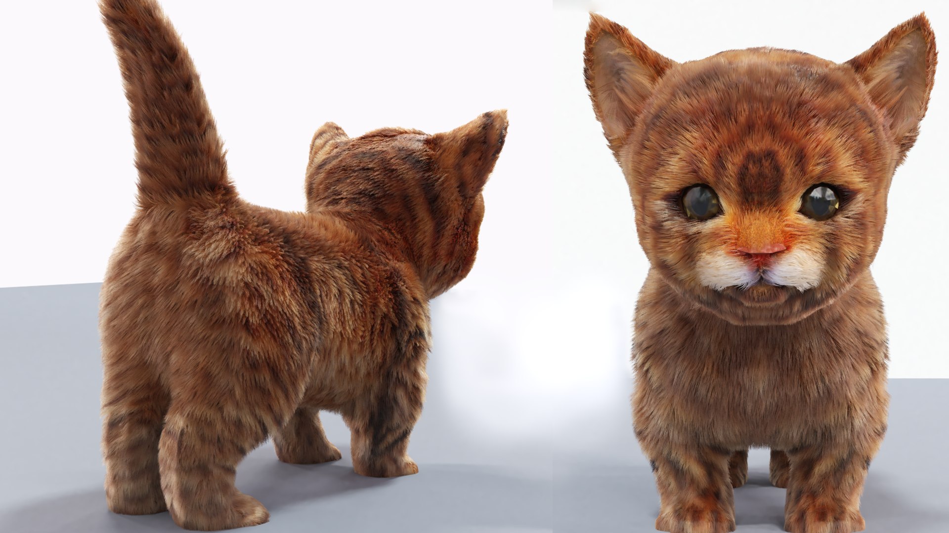 3D Model Cute Hair Fur Cat - TurboSquid 1709027