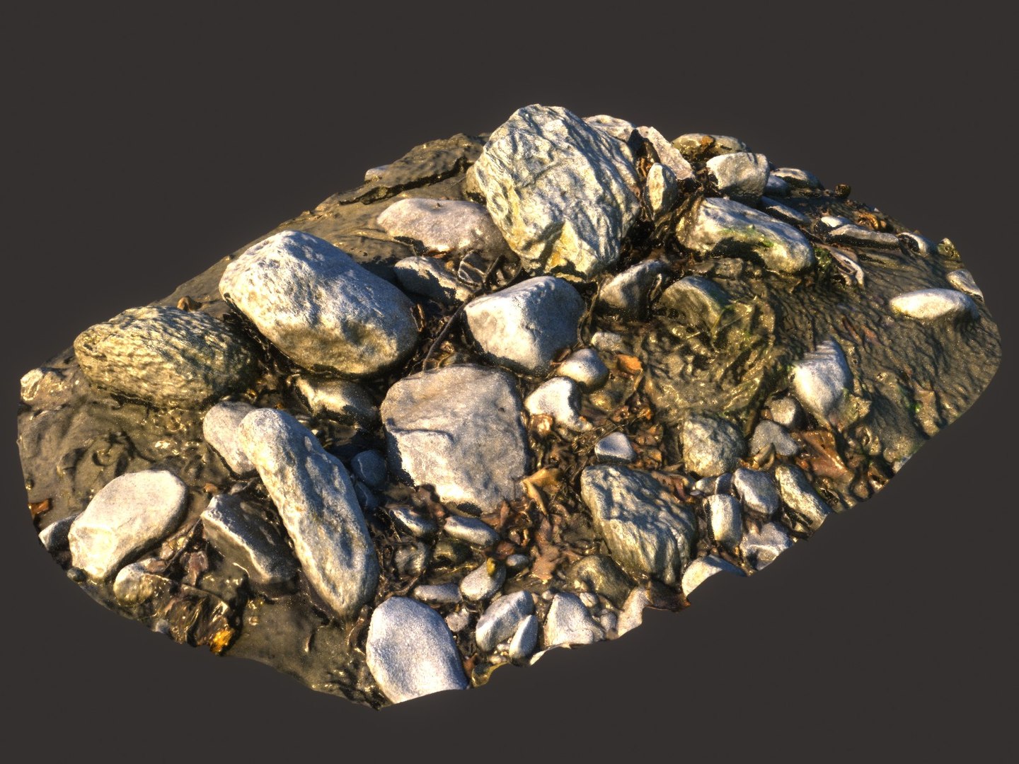3D model riverbed rock mud tree - TurboSquid 1328948