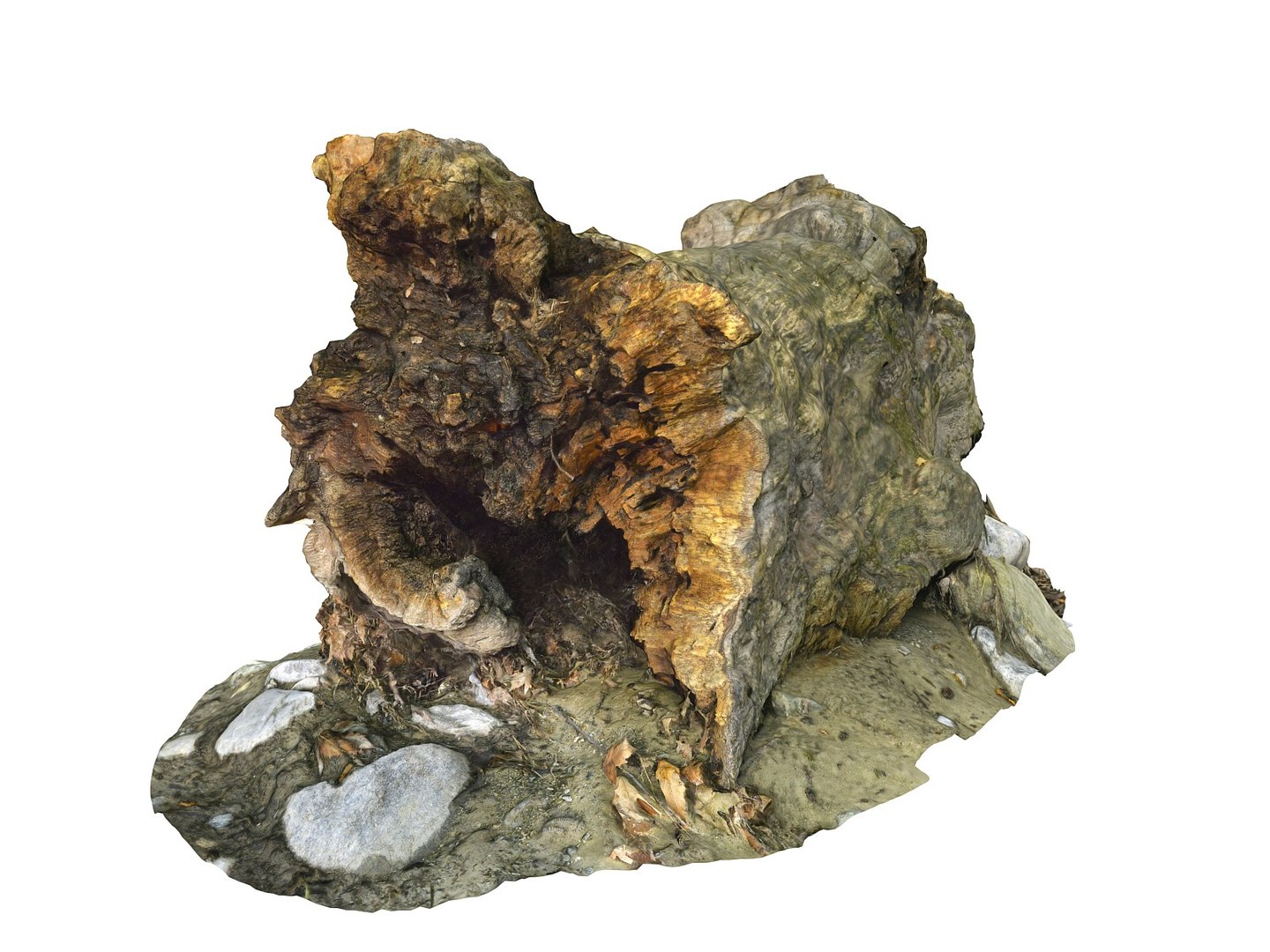 3D model riverbed rock mud tree - TurboSquid 1328948