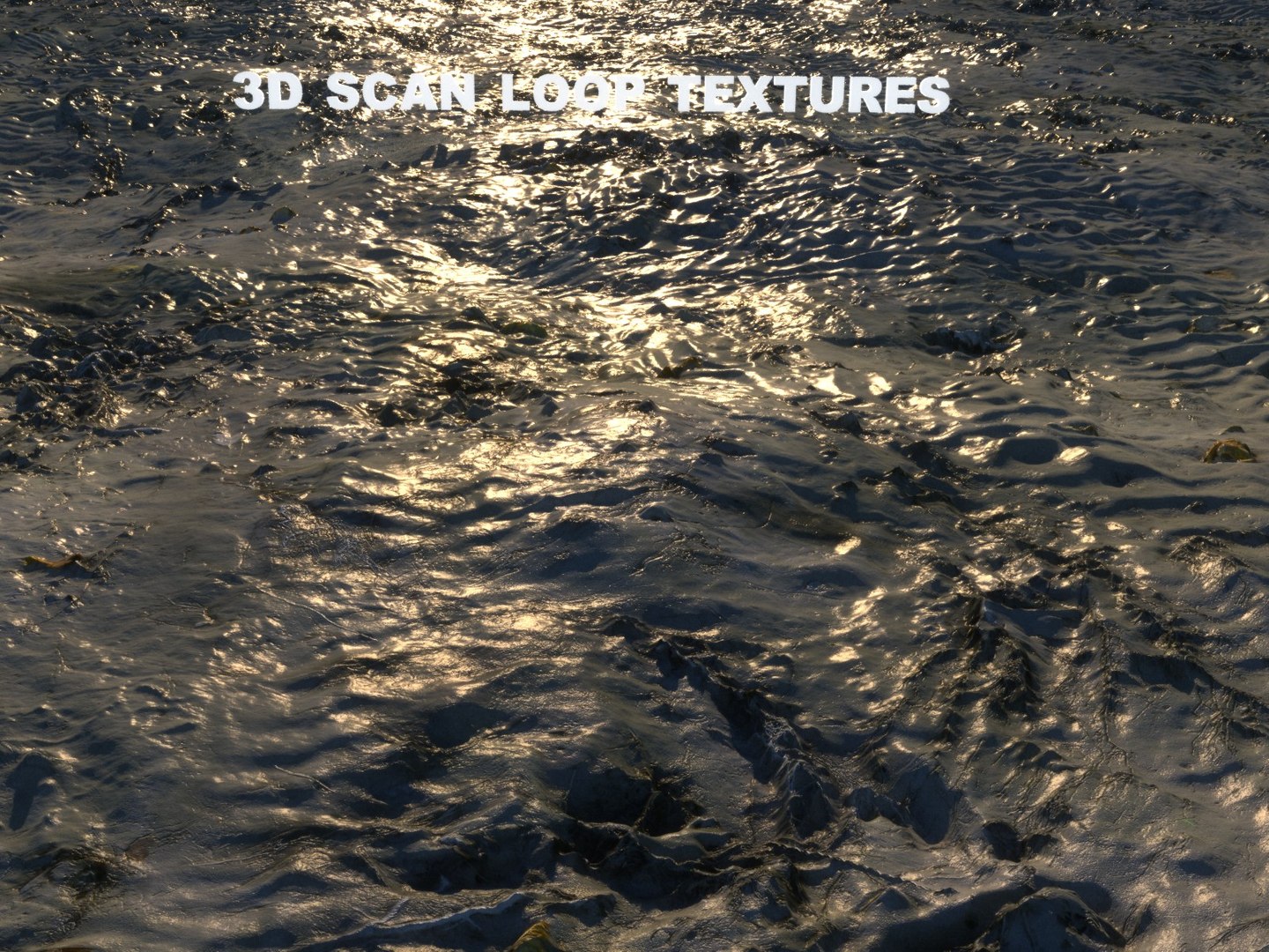 3D model riverbed rock mud tree - TurboSquid 1328948