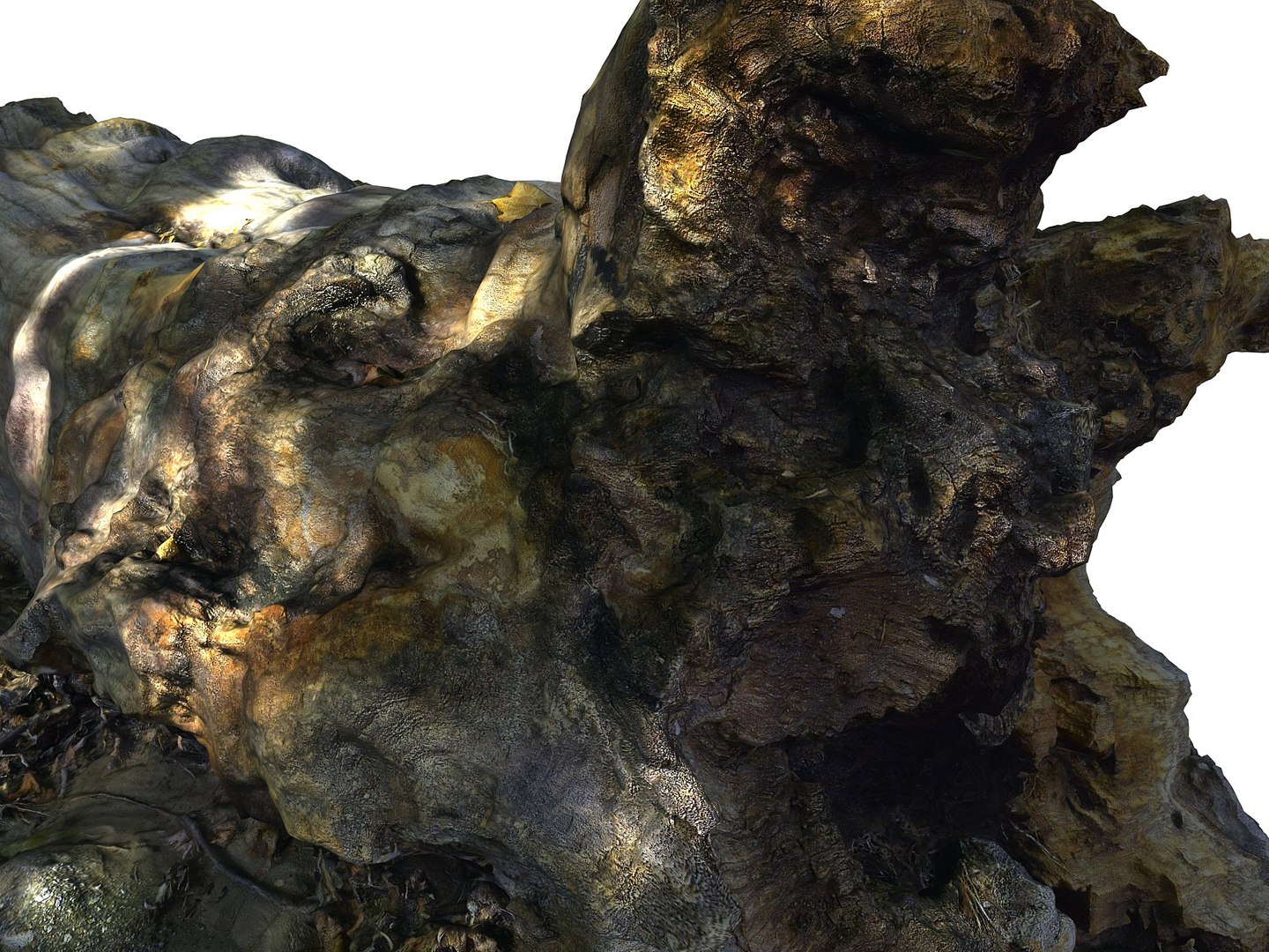 3D model riverbed rock mud tree - TurboSquid 1328948