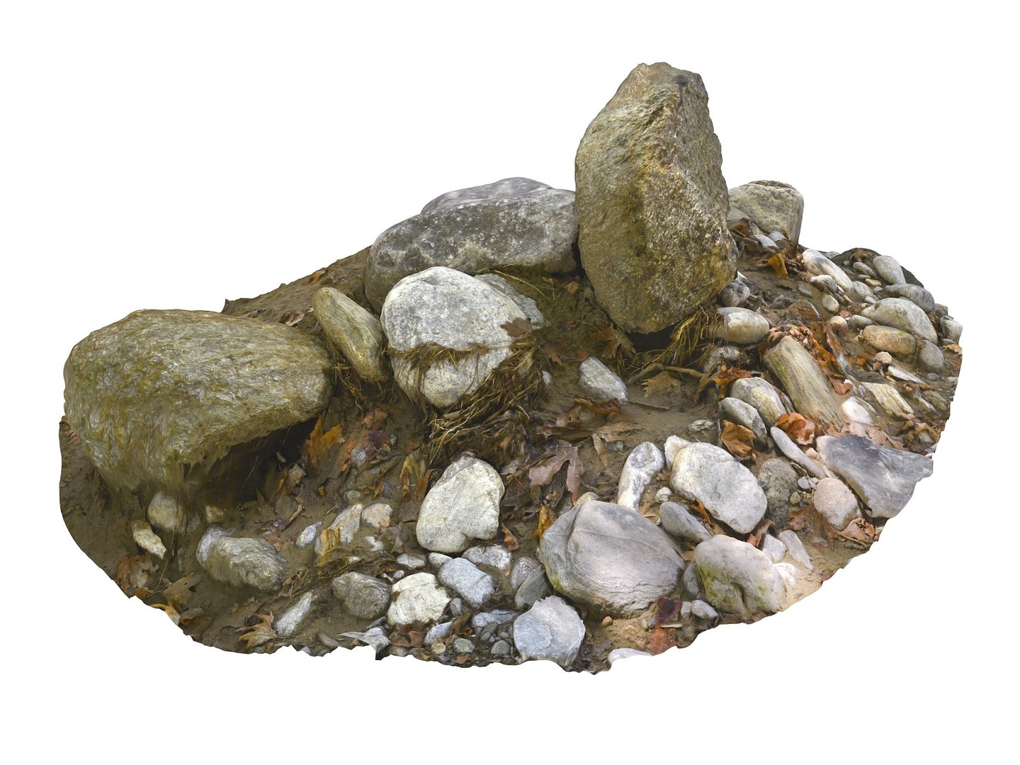 3D model riverbed rock mud tree - TurboSquid 1328948