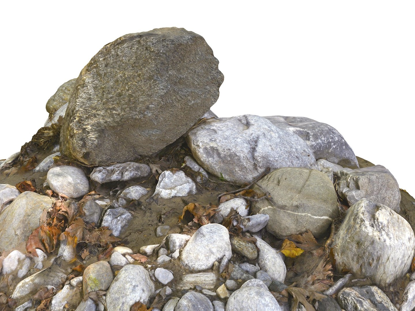 3D model riverbed rock mud tree - TurboSquid 1328948