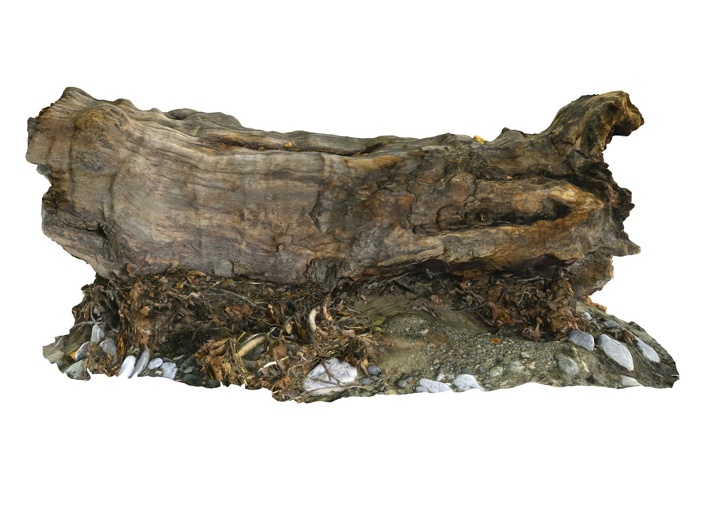 3D model riverbed rock mud tree - TurboSquid 1328948