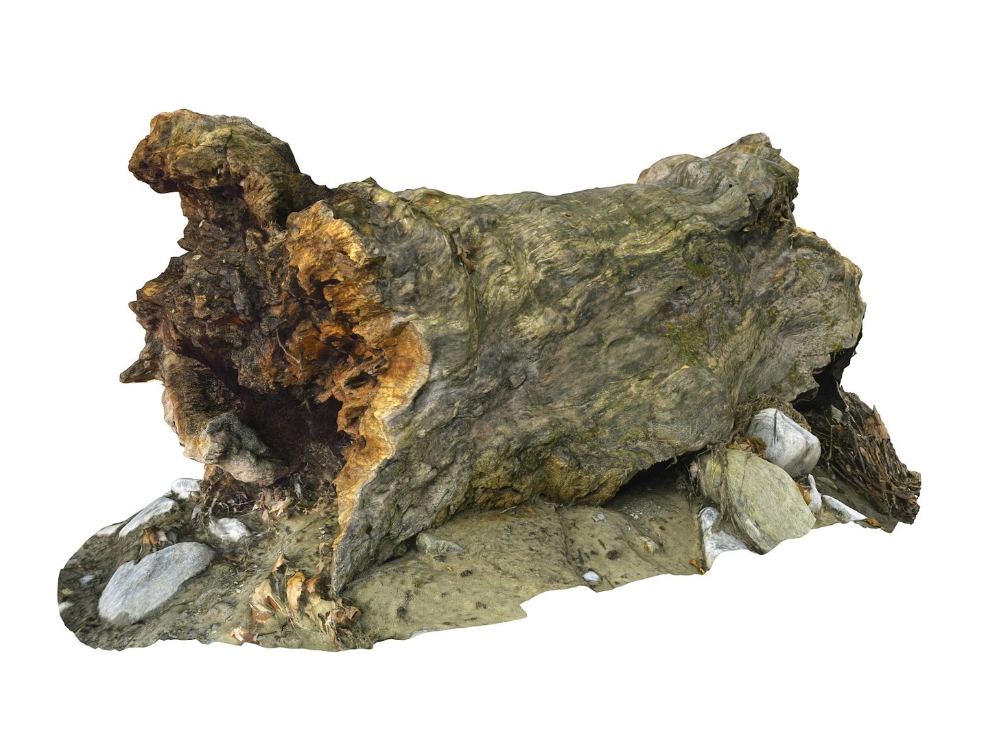 3D model riverbed rock mud tree - TurboSquid 1328948