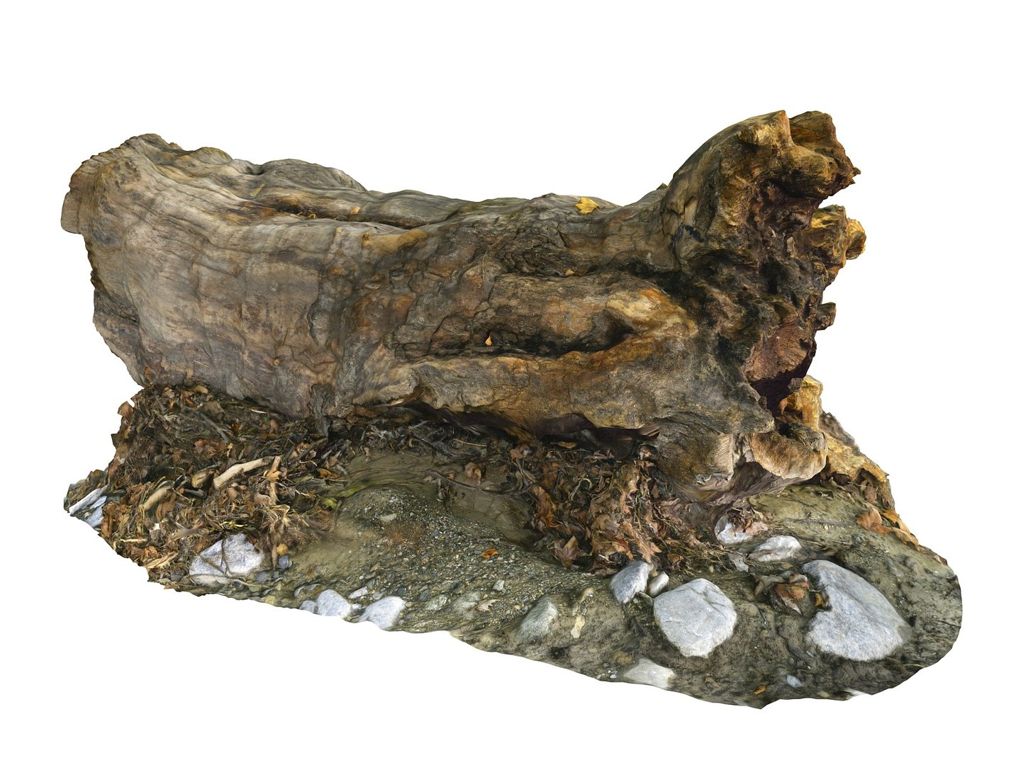 3D model riverbed rock mud tree - TurboSquid 1328948