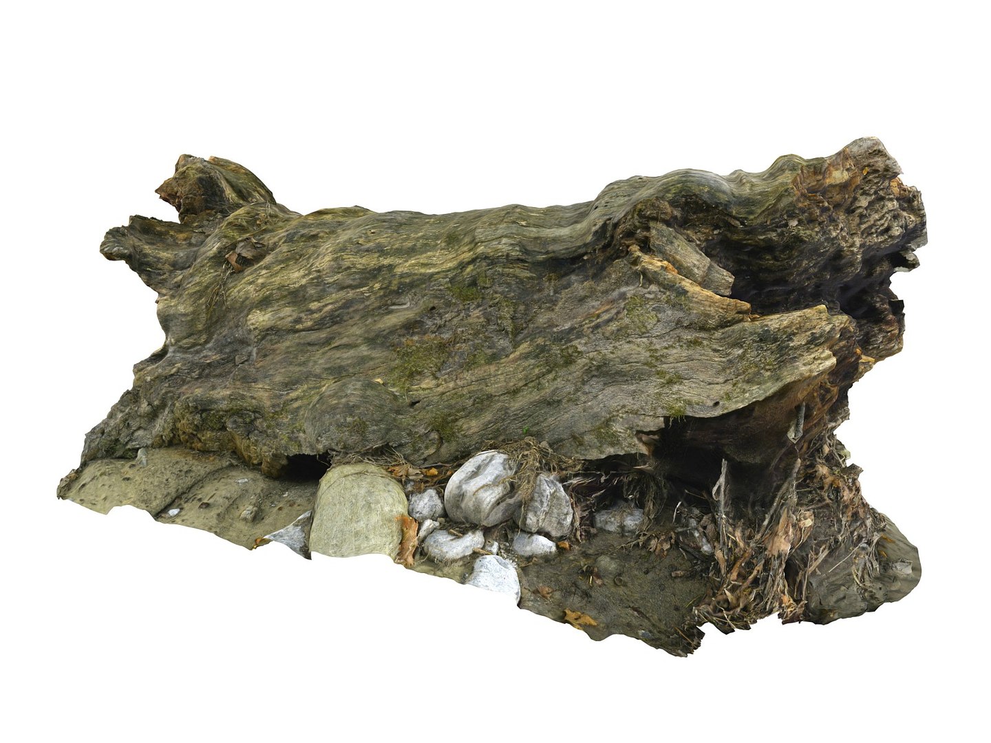 3D model riverbed rock mud tree - TurboSquid 1328948
