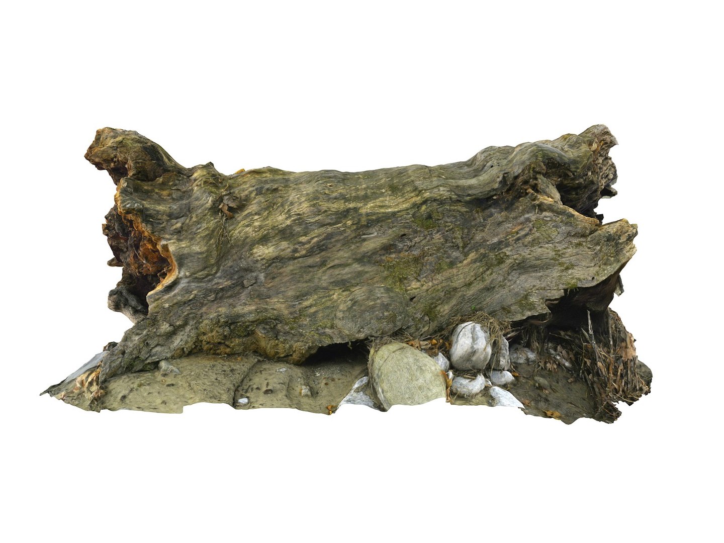 3D model riverbed rock mud tree - TurboSquid 1328948