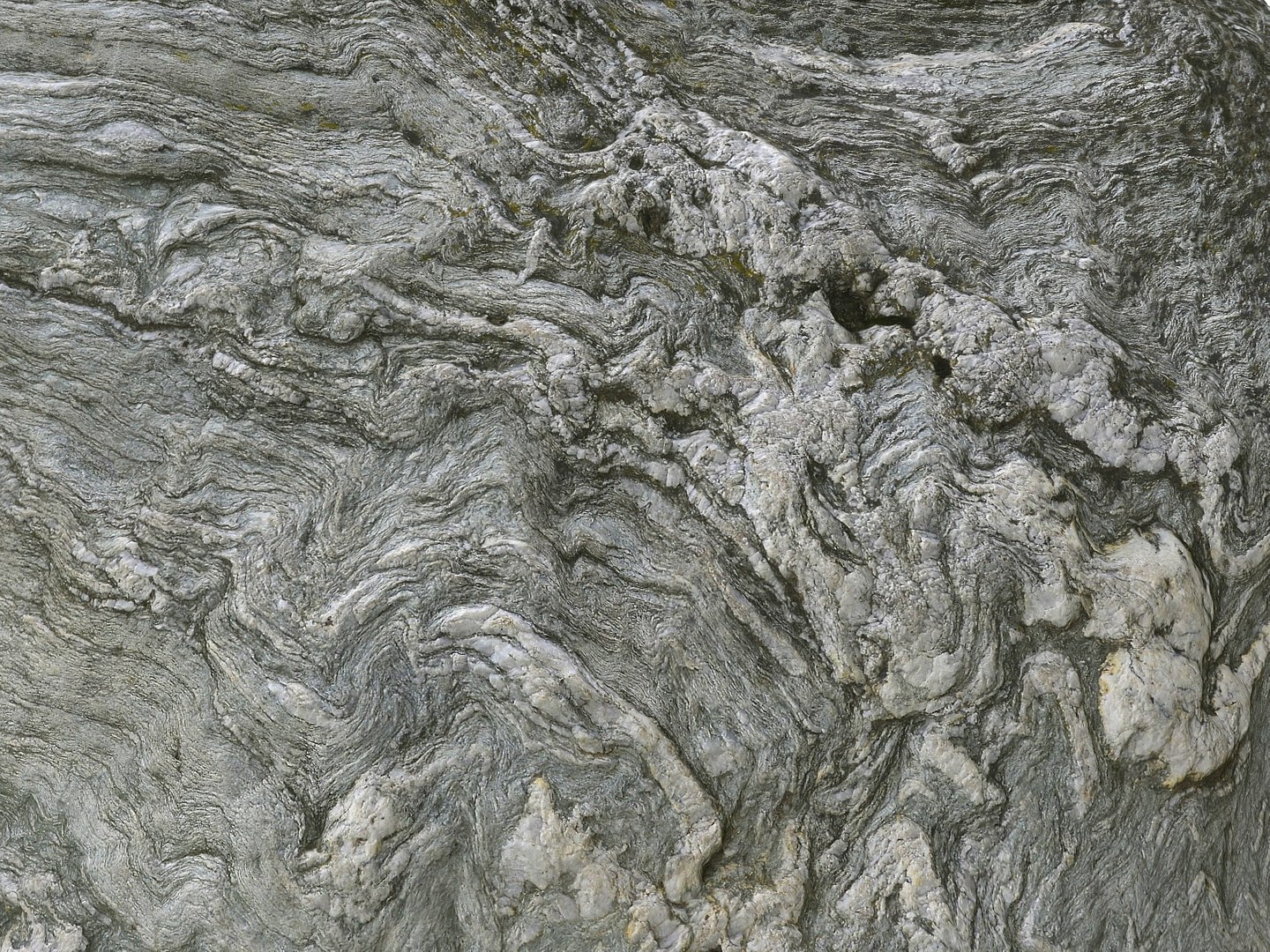 3D model riverbed rock mud tree - TurboSquid 1328948