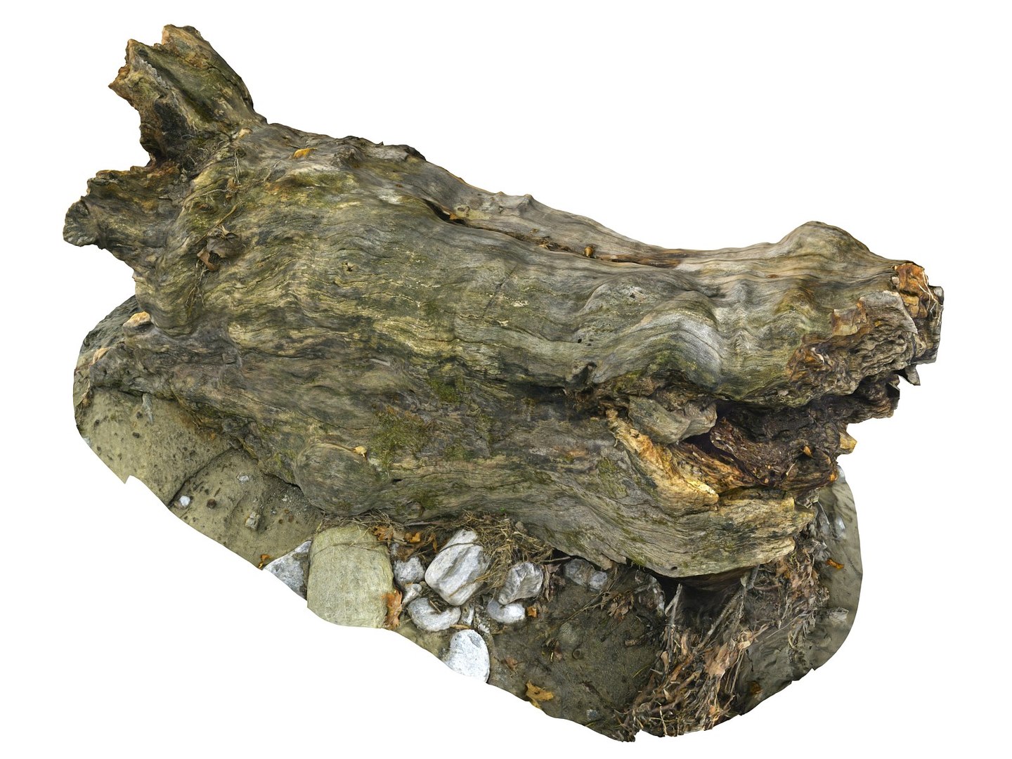 3D model riverbed rock mud tree - TurboSquid 1328948