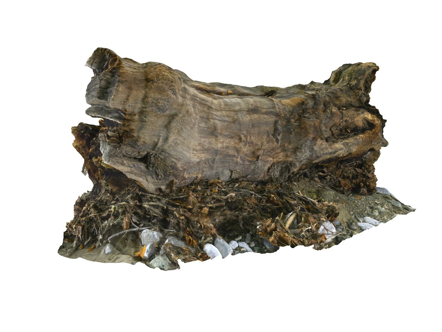 3D model riverbed rock mud tree - TurboSquid 1328948