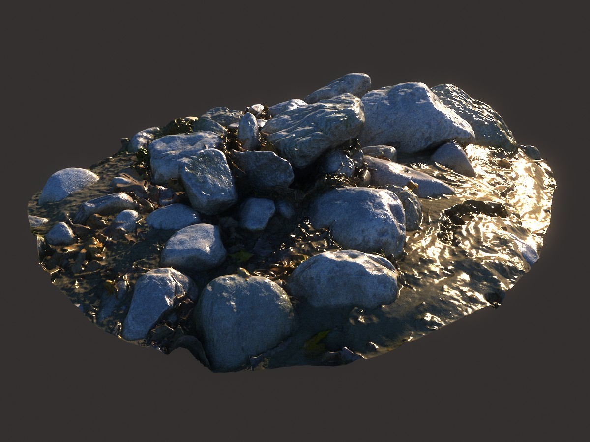 3D model riverbed rock mud tree - TurboSquid 1328948