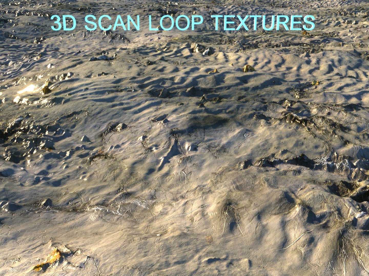 3D model riverbed rock mud tree - TurboSquid 1328948