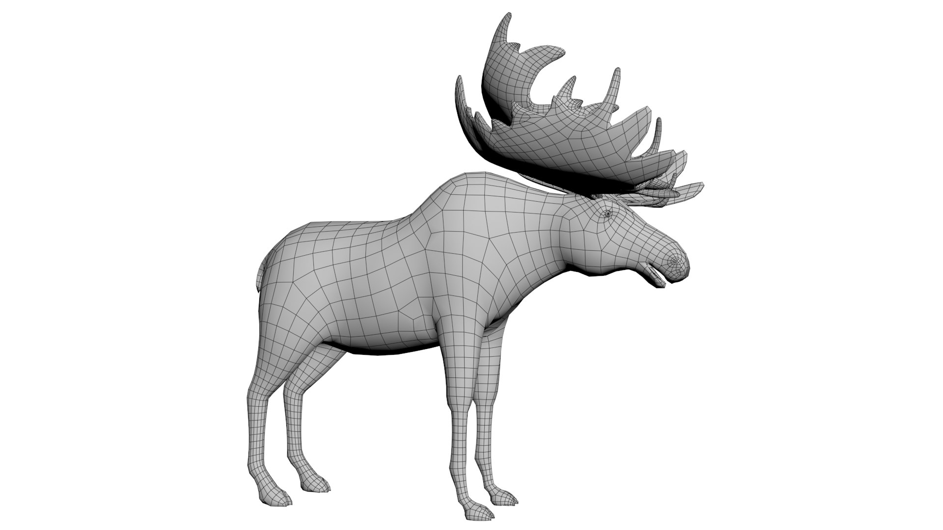 Moose 3D Model - TurboSquid 1782558