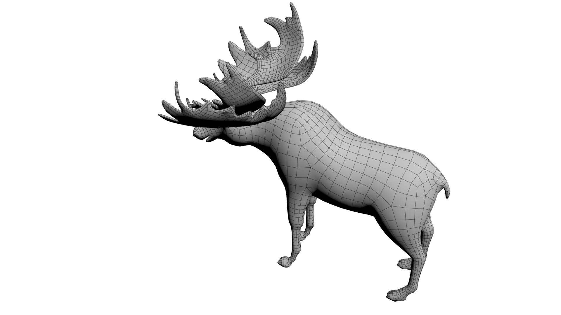 Moose 3D Model - TurboSquid 1782558