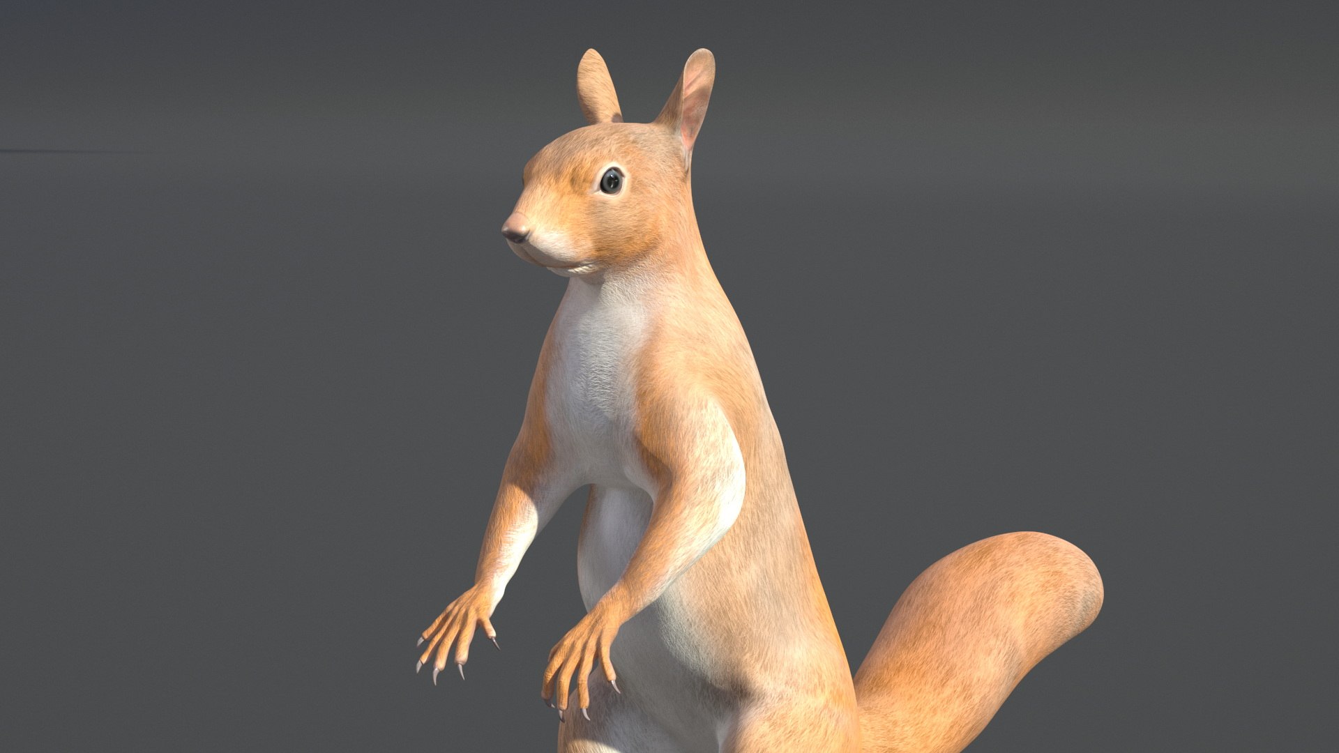 3D Red Squirrel In Standing Pose - TurboSquid 2269722
