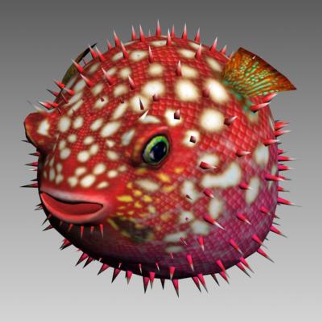 Hedgehog Fish 3d Model