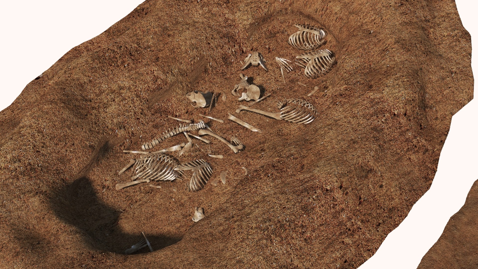 3D Grave Full Of Human Bones Skeletons Model - TurboSquid 2080624