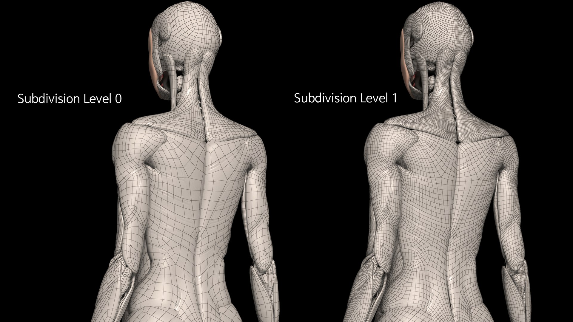 Cyborg Girl Bella, Rigged, PBR 3D model - TurboSquid 1746986