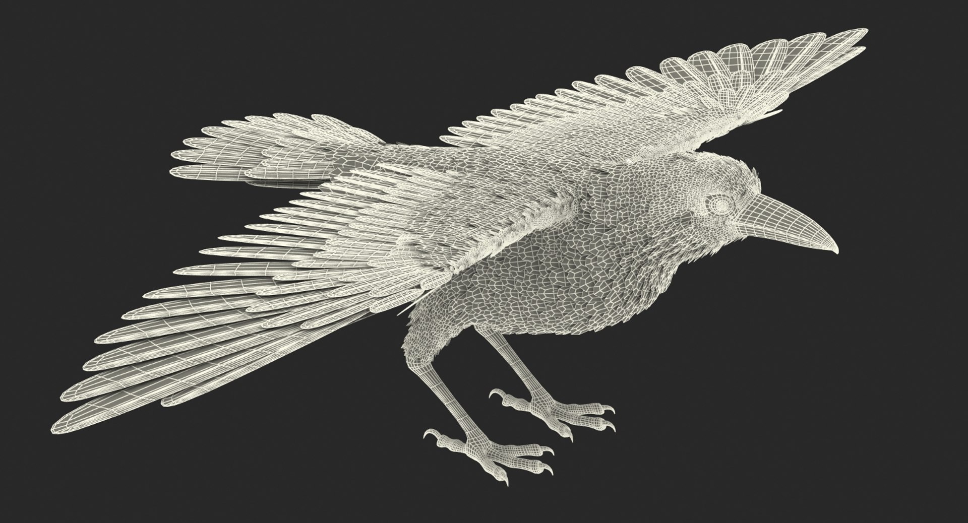 Black crow model - TurboSquid 1302244