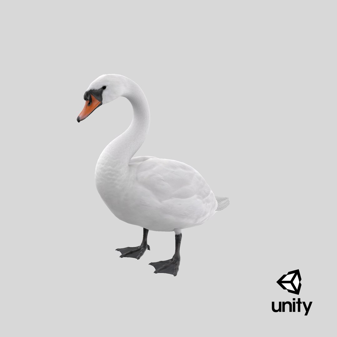 3D Model Mute Swan - TurboSquid 1797115