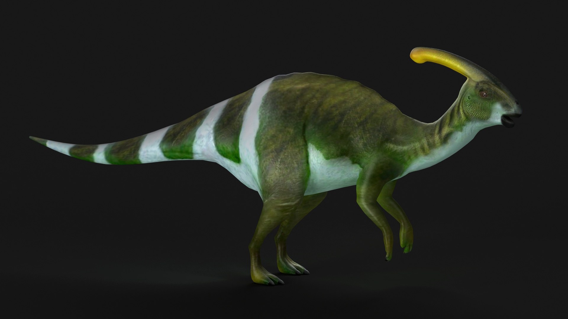 Parasaurolophus Dinosaur Cretaceous Herbivore Carnivore 3D - TurboSquid ...