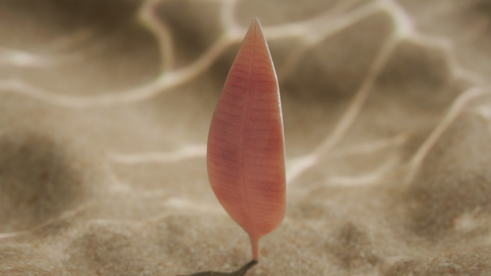 3D Charniodiscus - TurboSquid 2337425