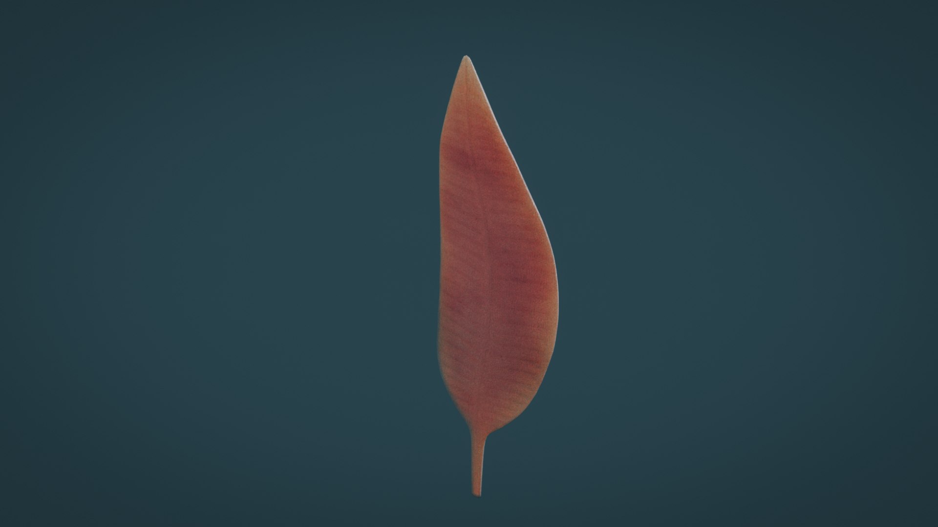 3D Charniodiscus - TurboSquid 2337425