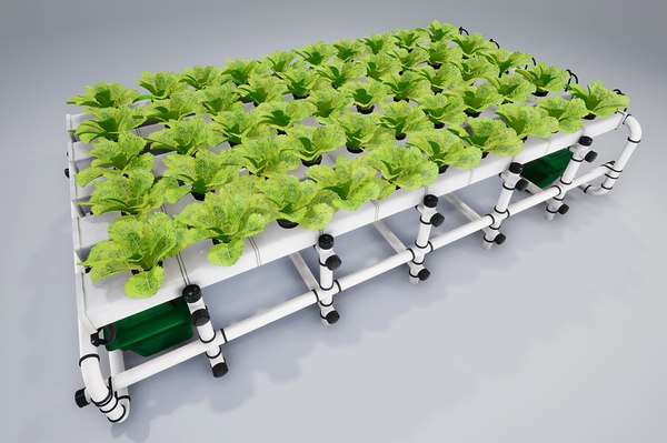 3D Hydroponic Models | TurboSquid