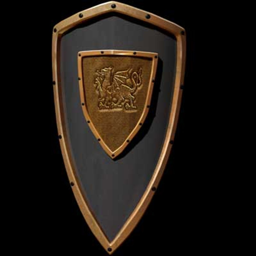 medieval sheild 3d model