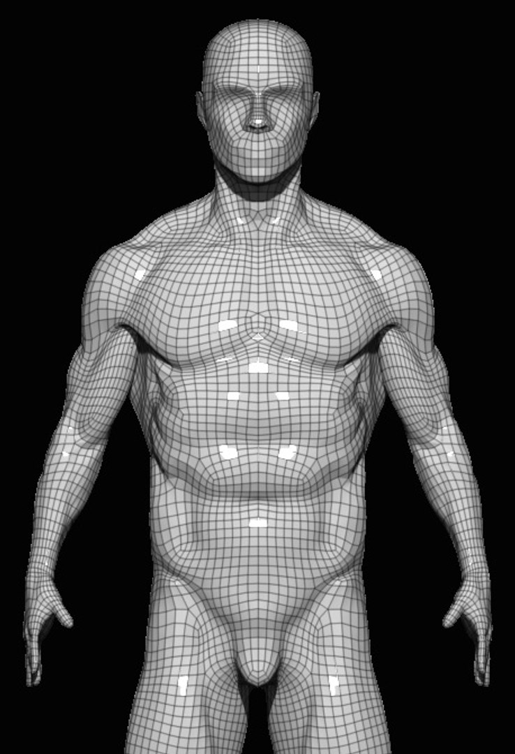 3D Anatomy Base Mesh - TurboSquid 1534204
