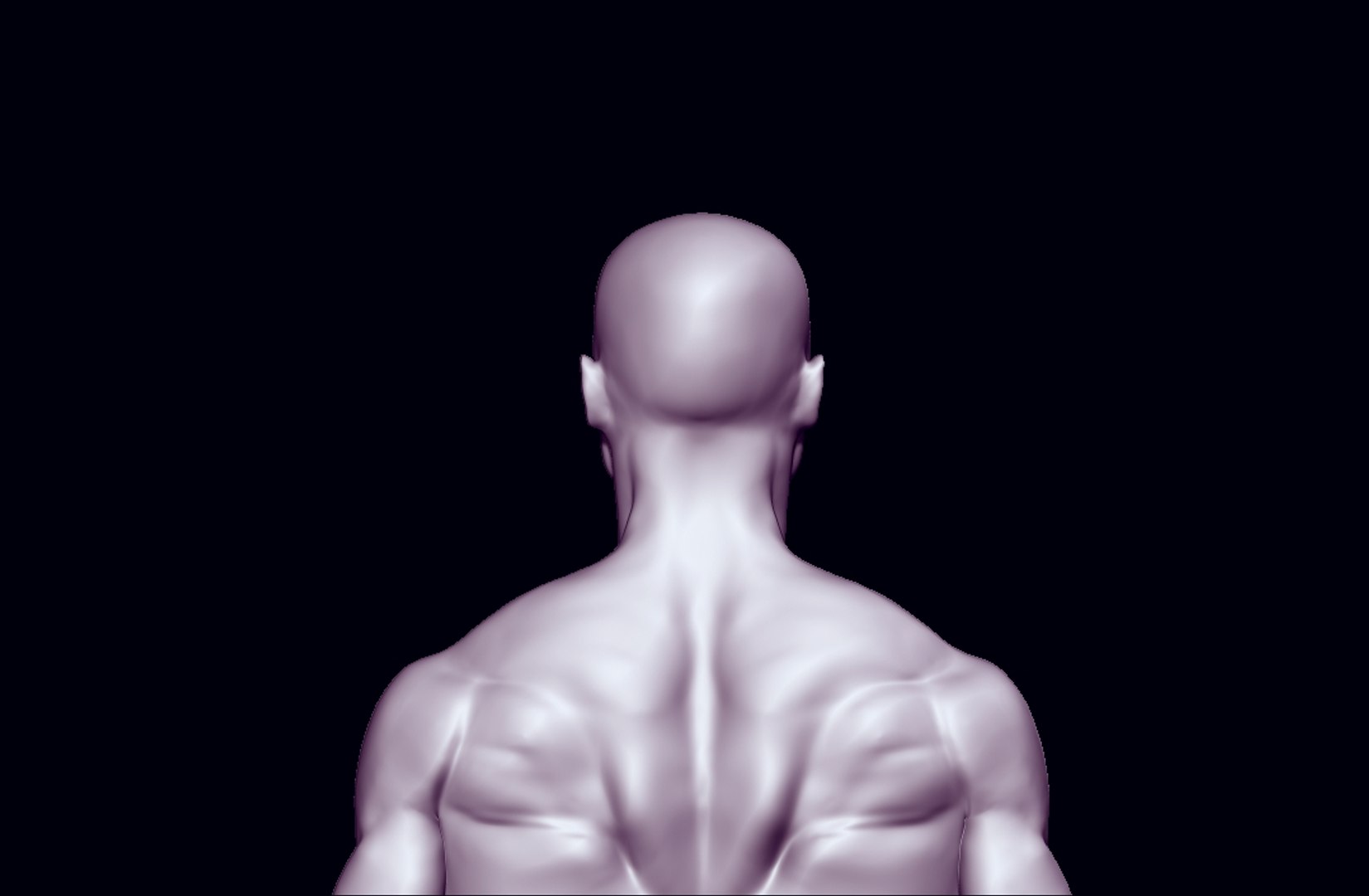 3D Anatomy Base Mesh - TurboSquid 1534204