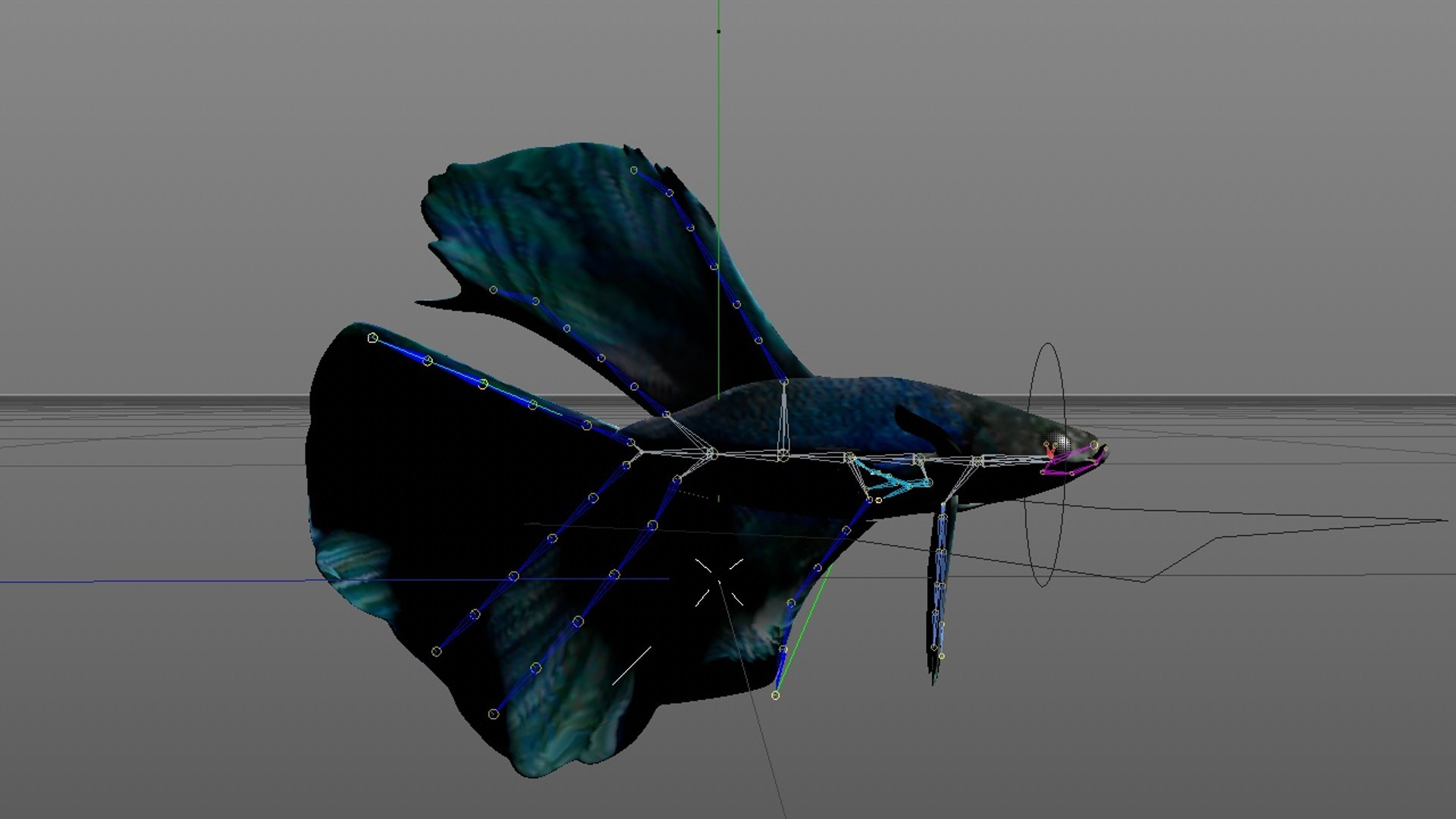 3D Betafish Pack - Rigged And Animated - TurboSquid 2321131