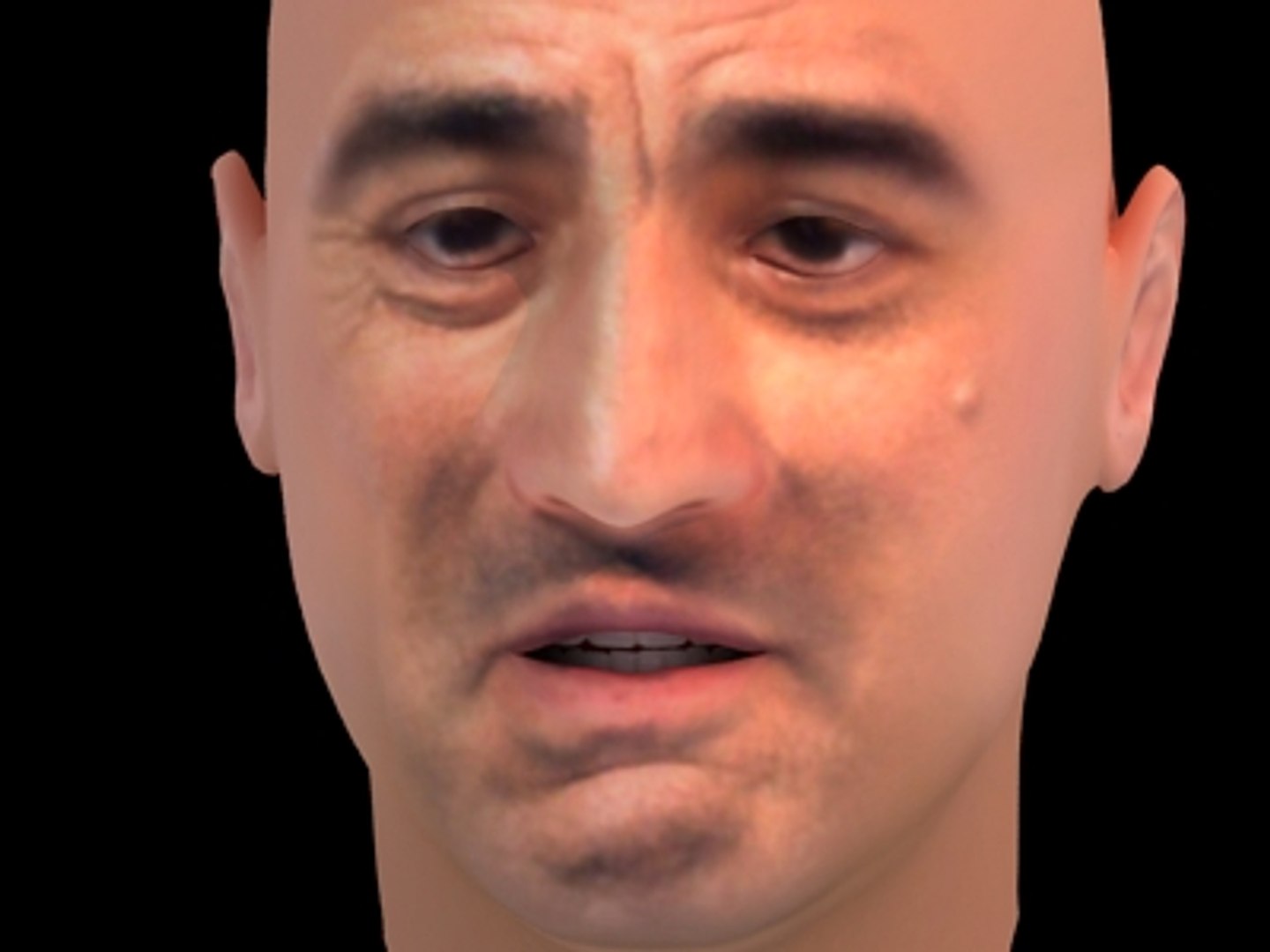 Robert Face 3ds