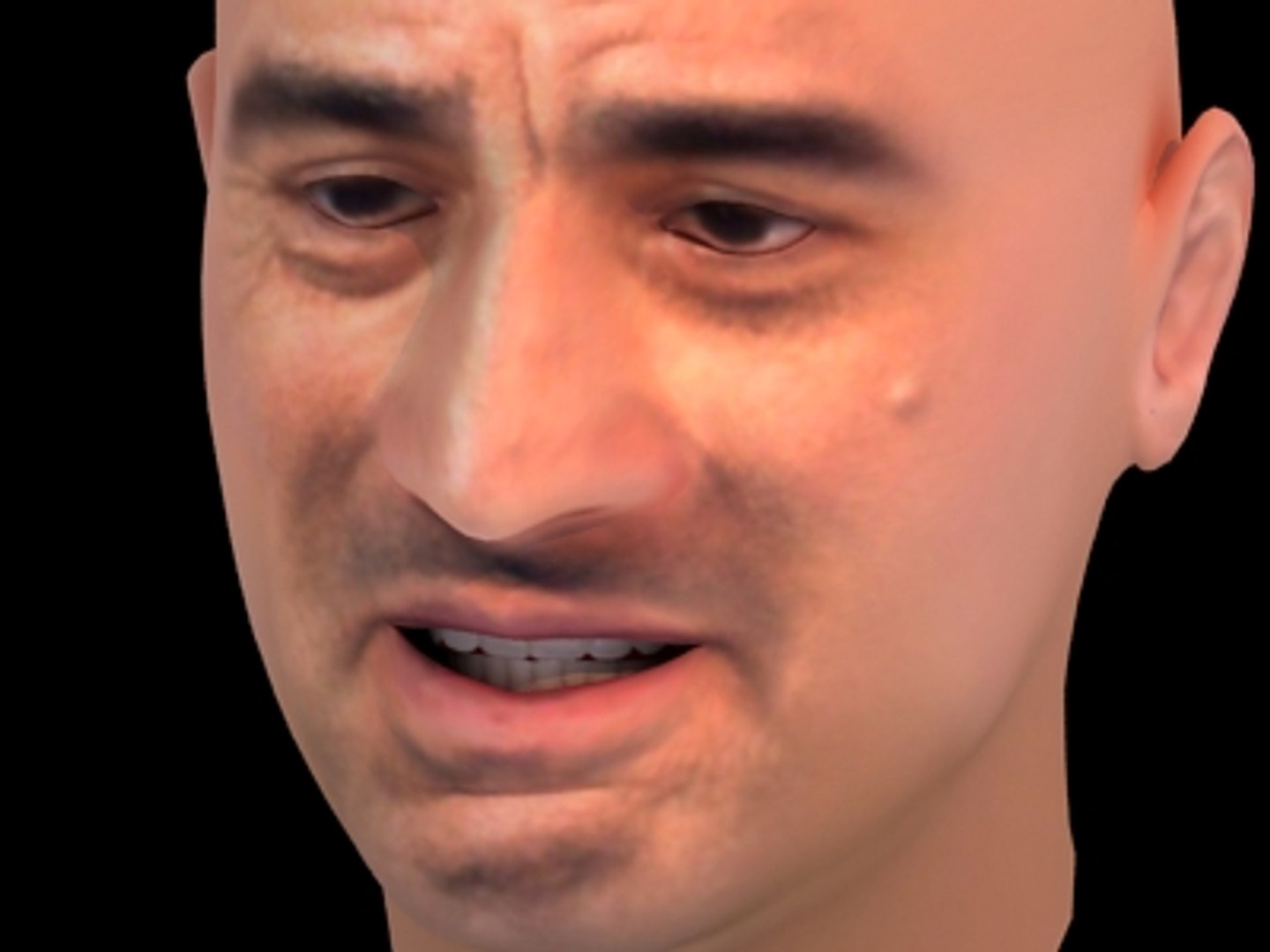 Robert Face 3ds